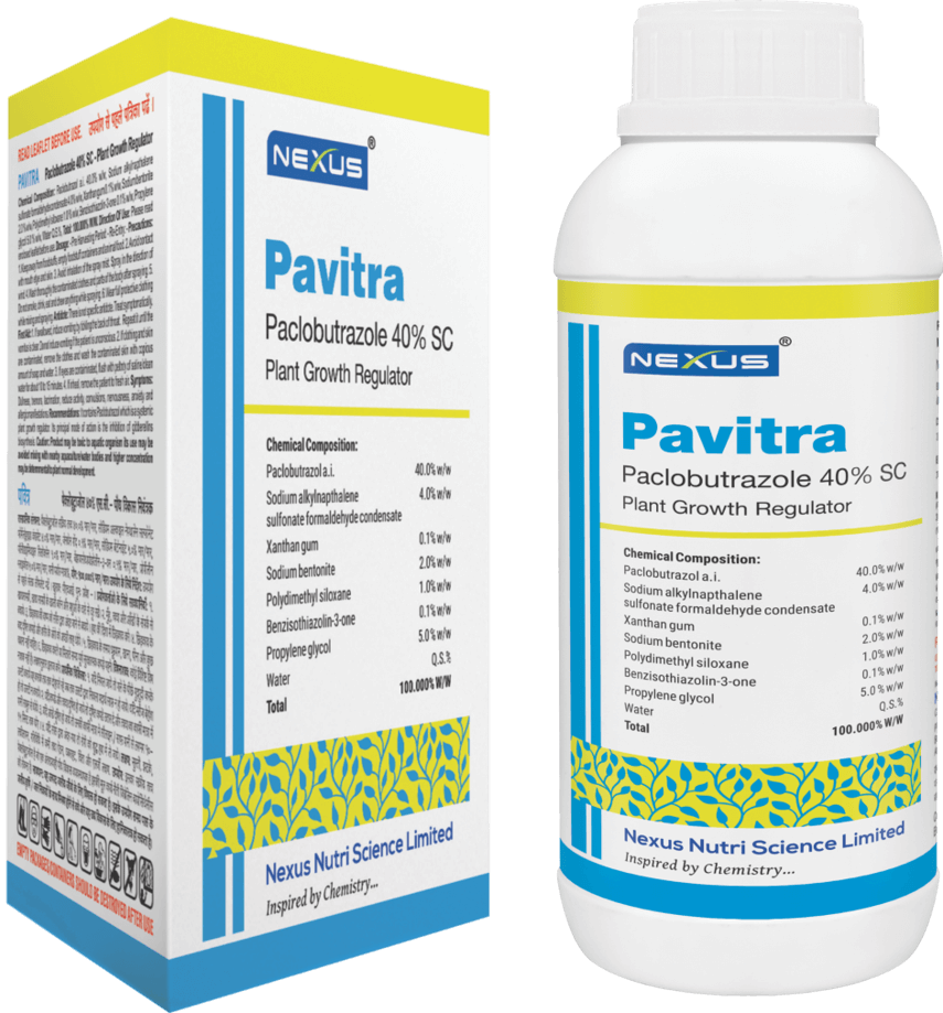 Pavitra Paclobutrazol plant growth regulator Manufacturer in India ...